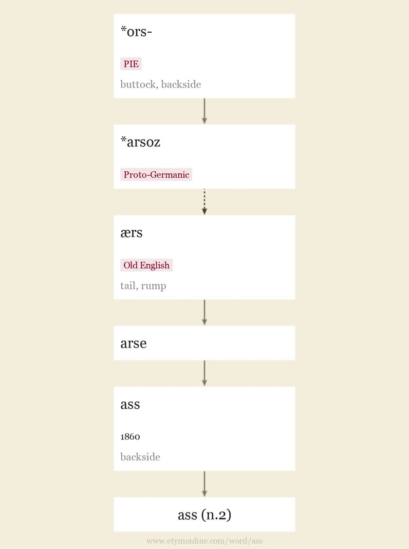 ass | Etymology, origin and meaning of ass by etymonline