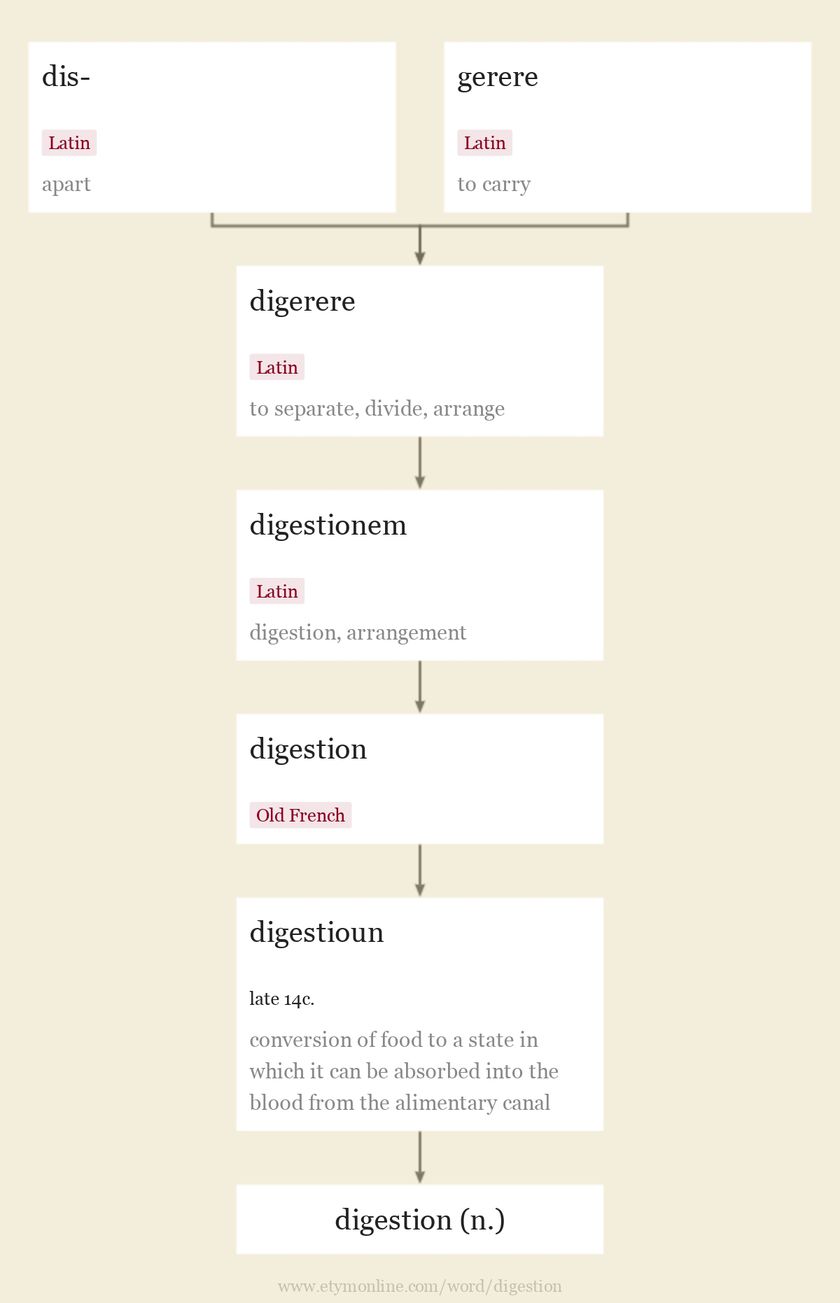 digestion | Etymology of digestion by etymonline