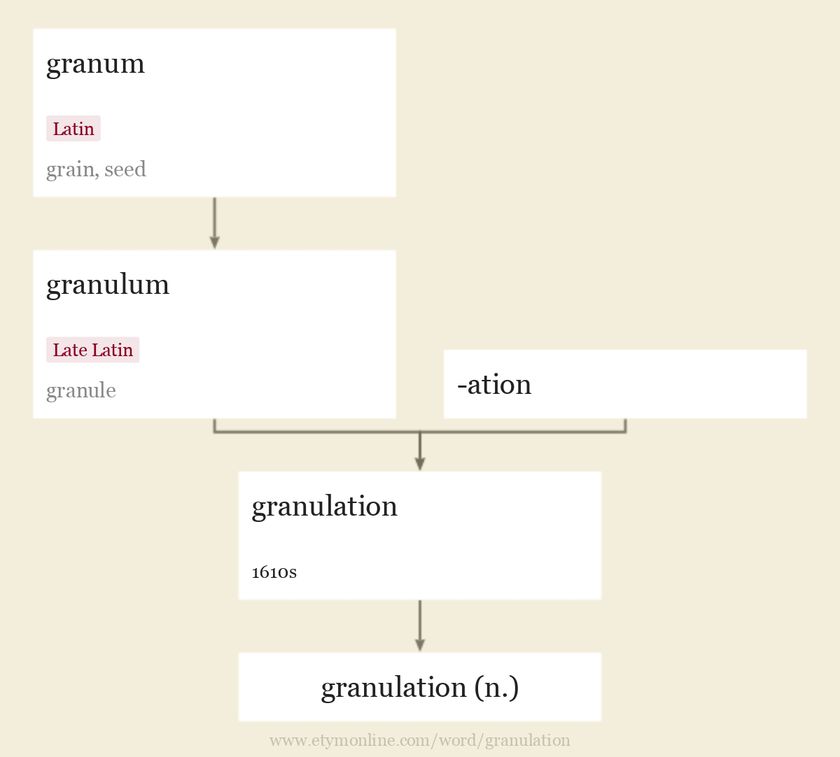 granulation | Origin and meaning of granulation by Online Etymology ...